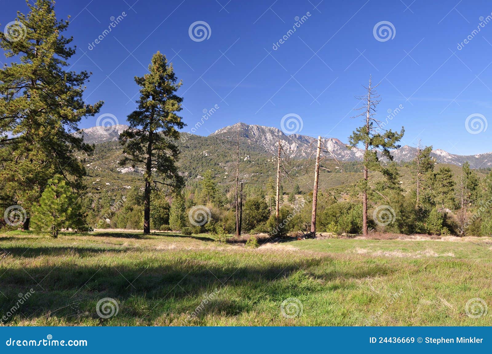 Mountain Meadow stock image. Image of snow, idyllic, postcard - 24436669
