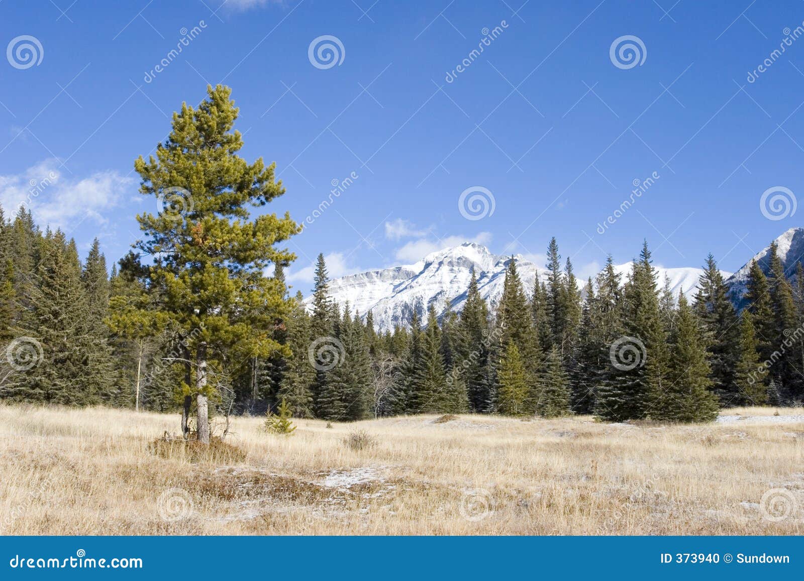 Mountain Meadow 3 stock photo. Image of recreation, rocky - 373940