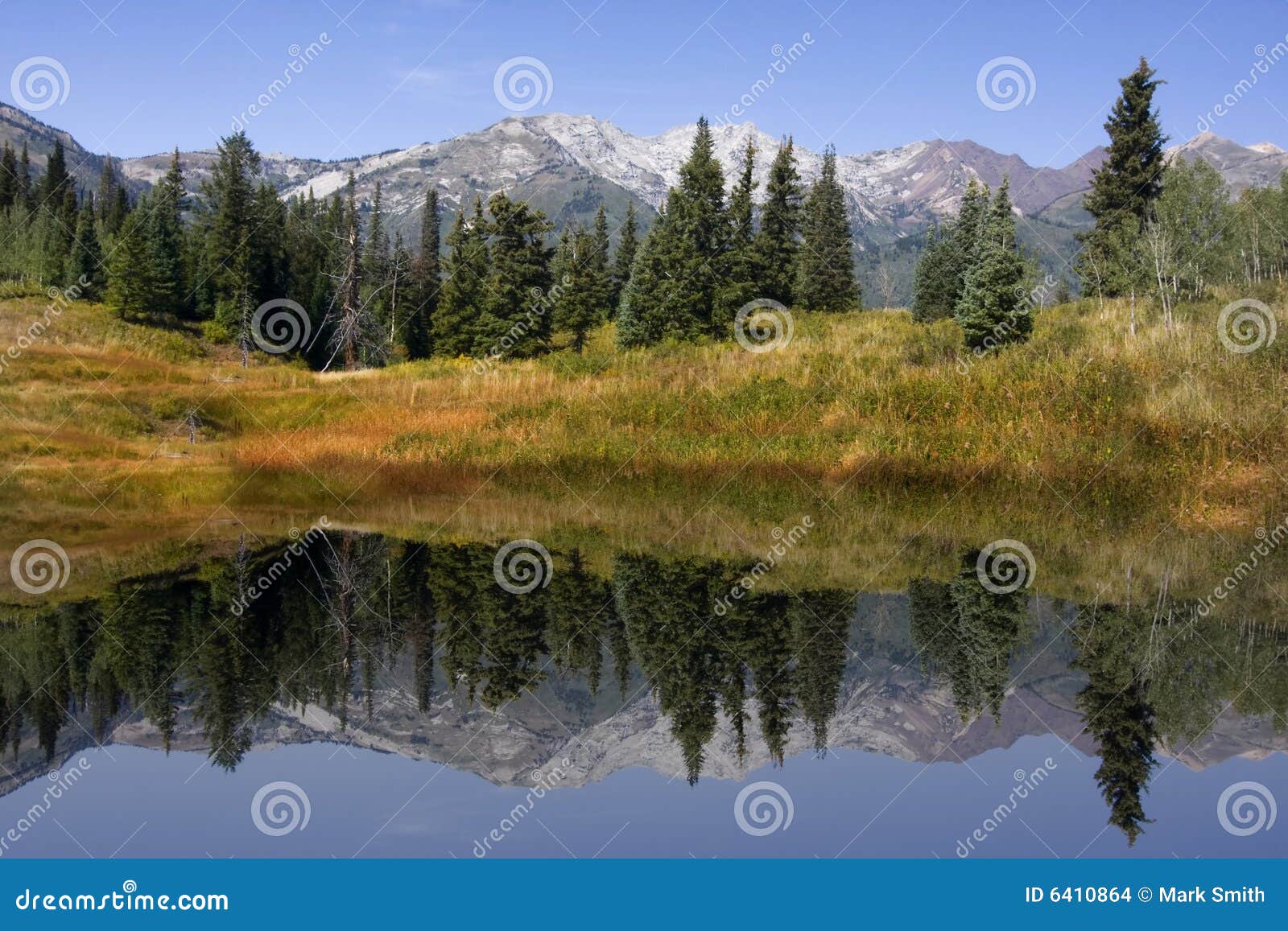 Mountain Meadow stock photo. Image of tranquil, lake, natural - 6410864