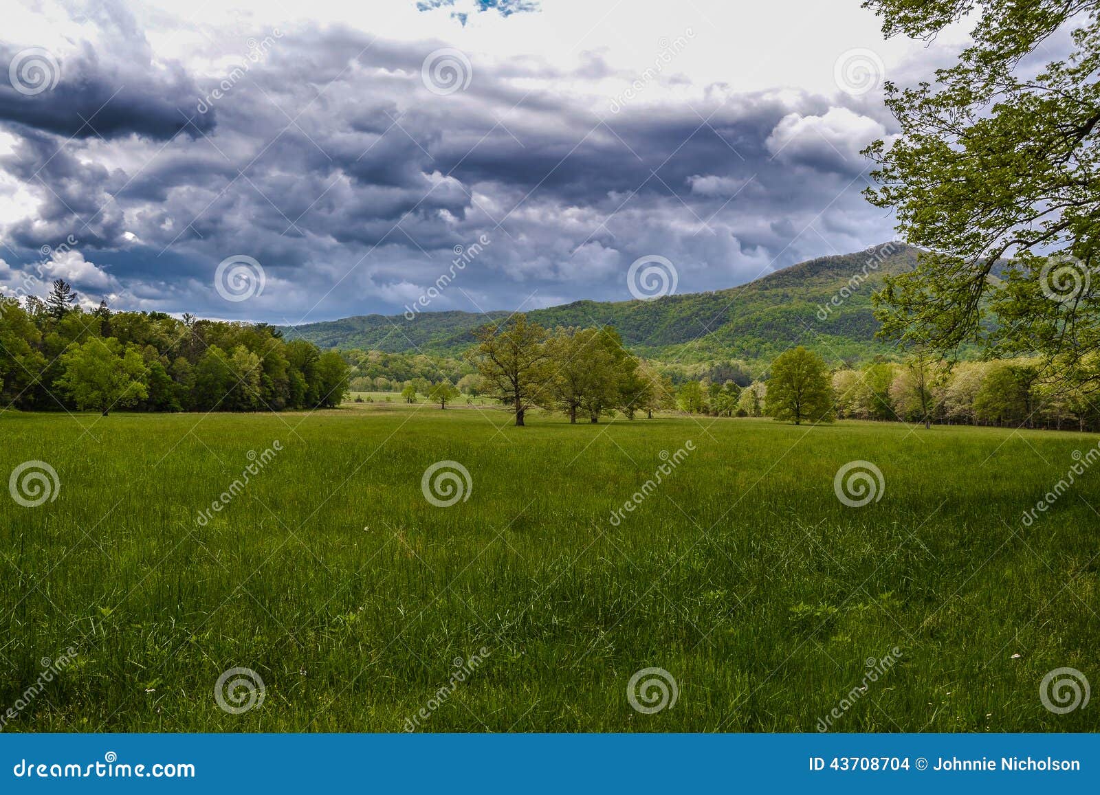 Mountain Meadow stock photo. Image of clouds, cloud, skies - 43708704