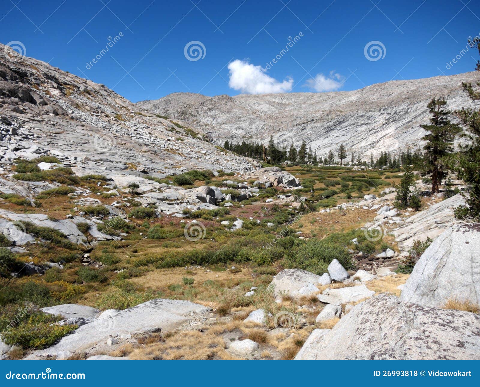 Mountain Meadow, California Stock Photo - Image of scenic, meadow: 26993818