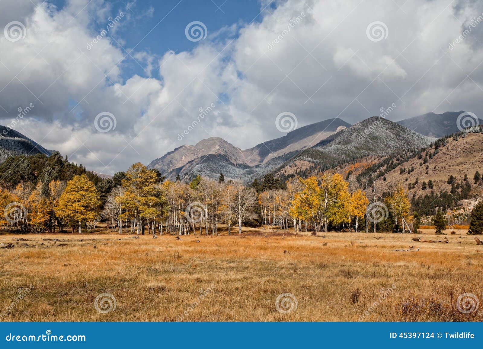 Mountain Meadow in Fall stock photo. Image of landscape - 45397124