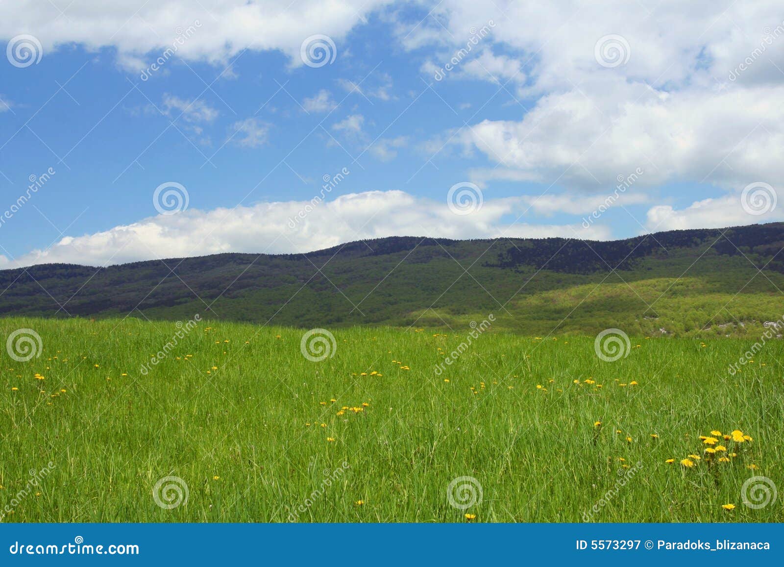 Mountain Meadow Scene, Croatia Stock Image - Image of broadleaved ...