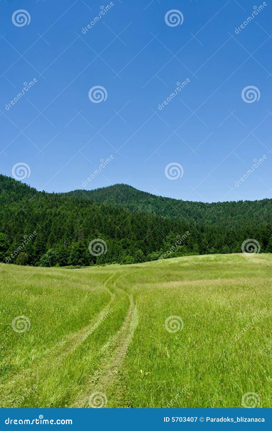 Mountain Meadow Scene during Sunny Summer Day Stock Image - Image of ...