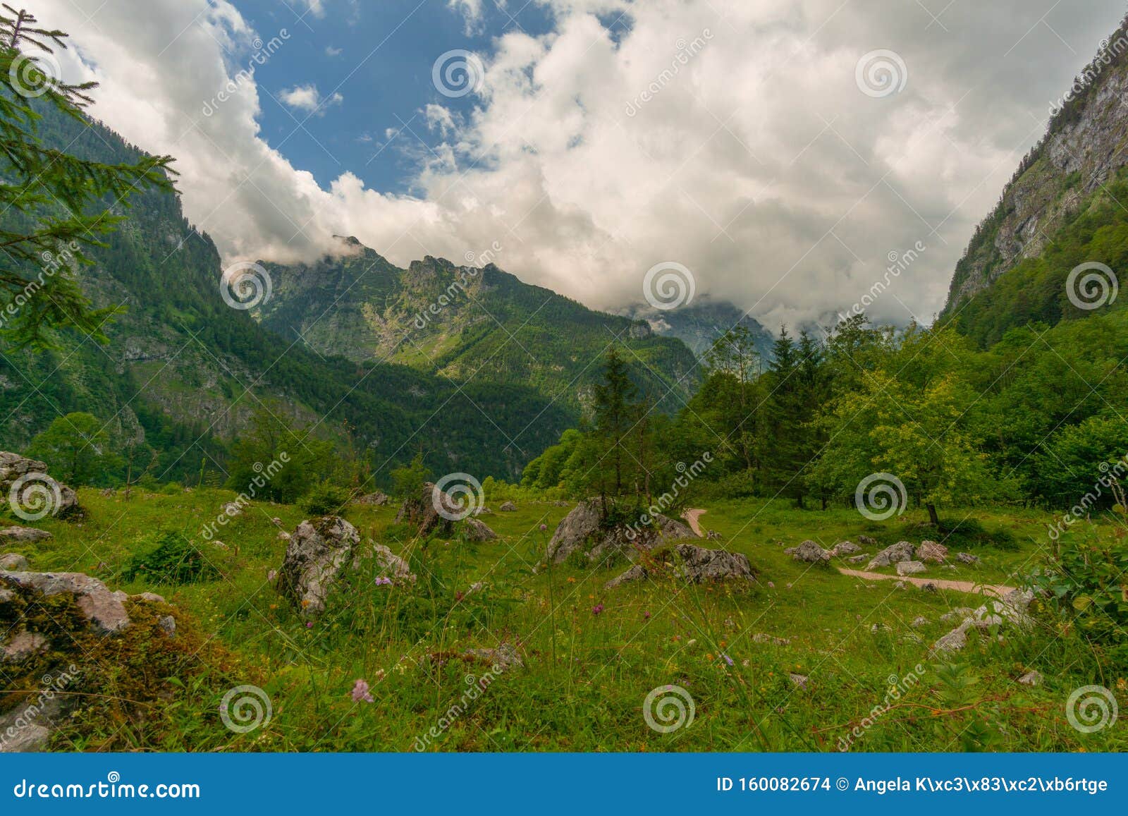 A Mountain Meadow in Spring with High Mountains Stock Photo - Image of ...