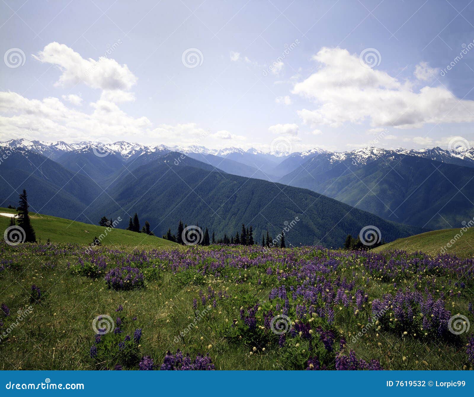 Mountain and meadows stock photo. Image of field, park - 7619532