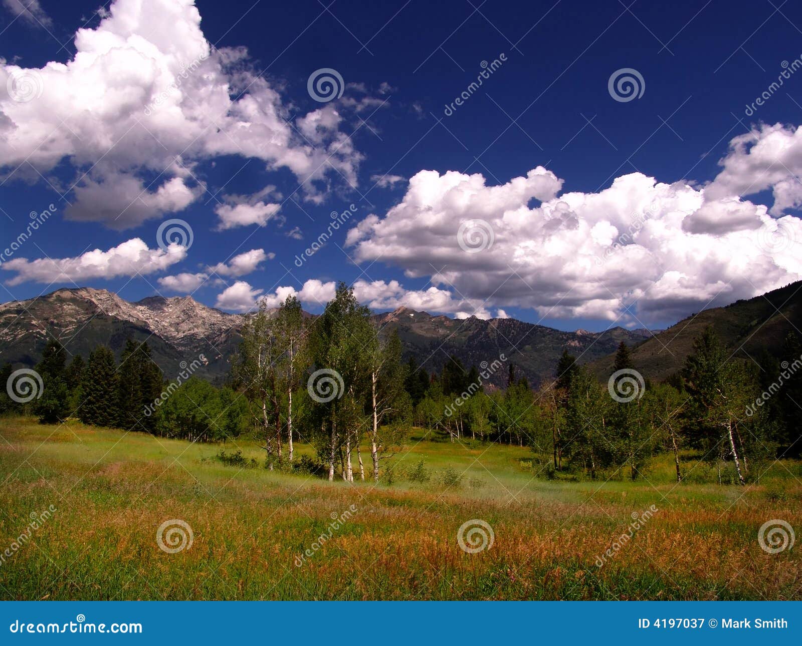 Mountain Medow 2 stock image. Image of peaceful, scenics - 4197037