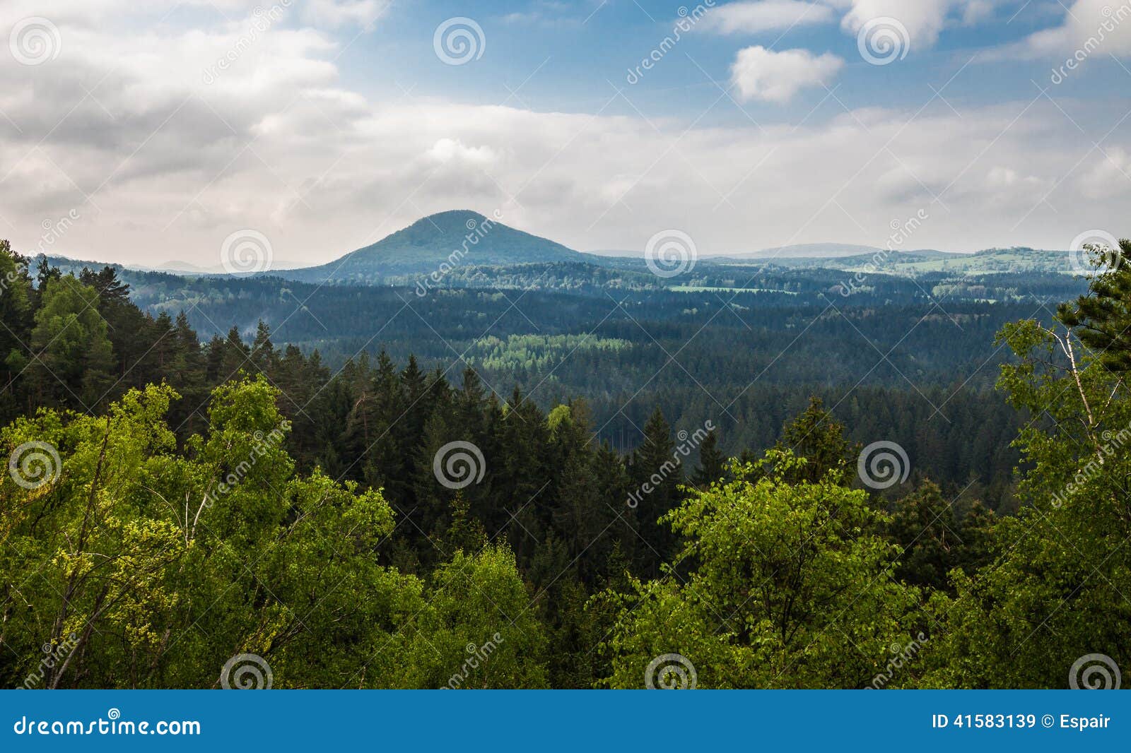 Mountain in the Middle of the Forest Stock Image - Image of highlands ...