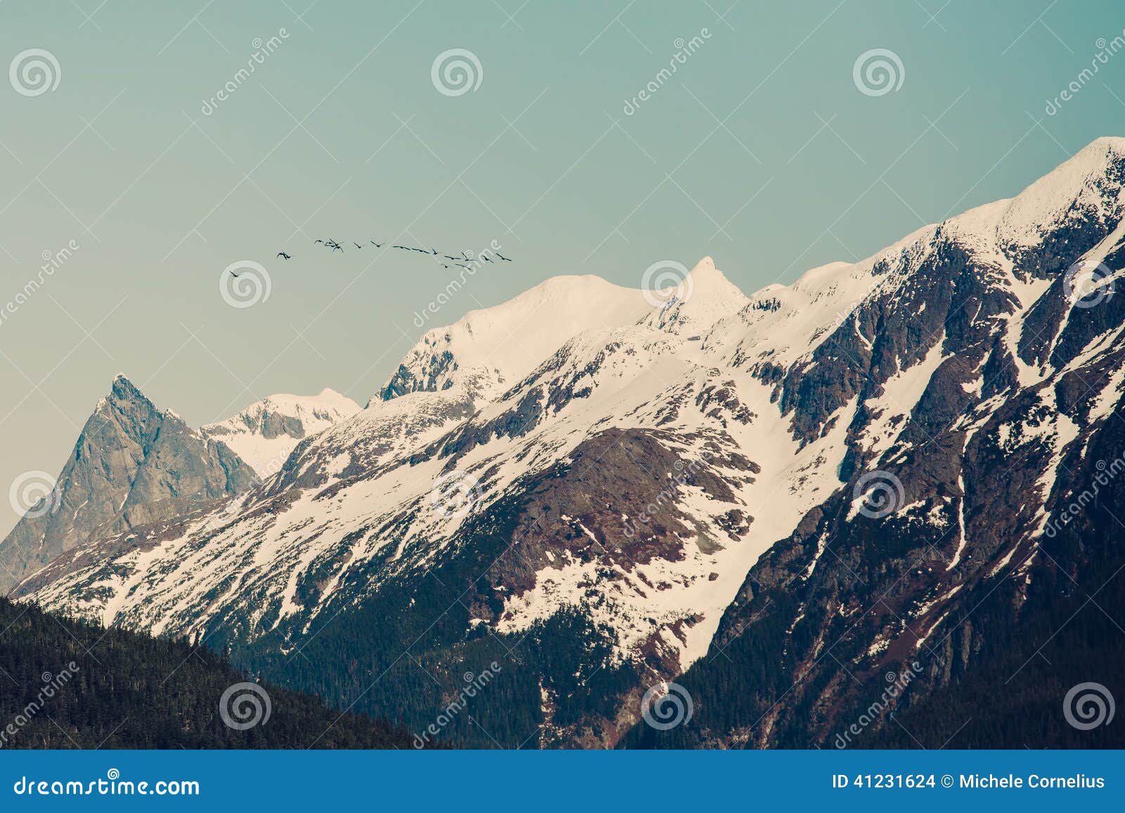 Mountain Migration stock photo. Image of nature, wilderness - 41231624