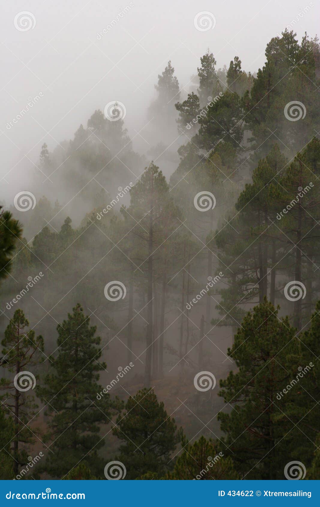 Mountain mist stock photo. Image of mountain, islas, island - 434622