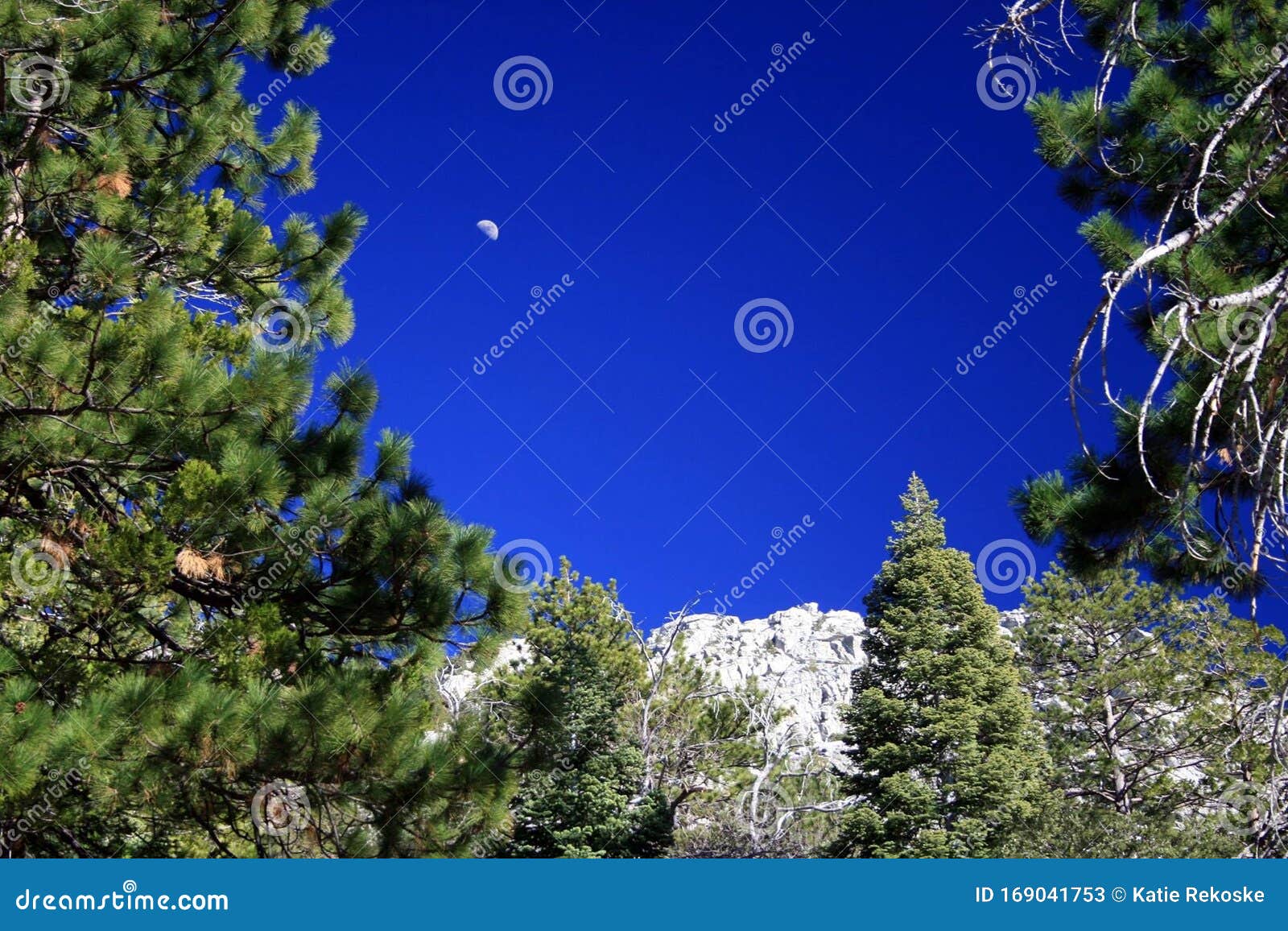 Mountain Moon stock image. Image of view, moon, forrest - 169041753
