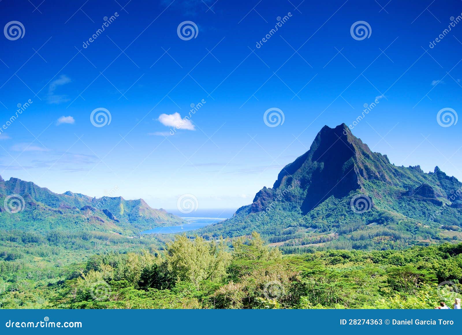 Mountain in Moorea stock image. Image of tourism, palm - 28274363