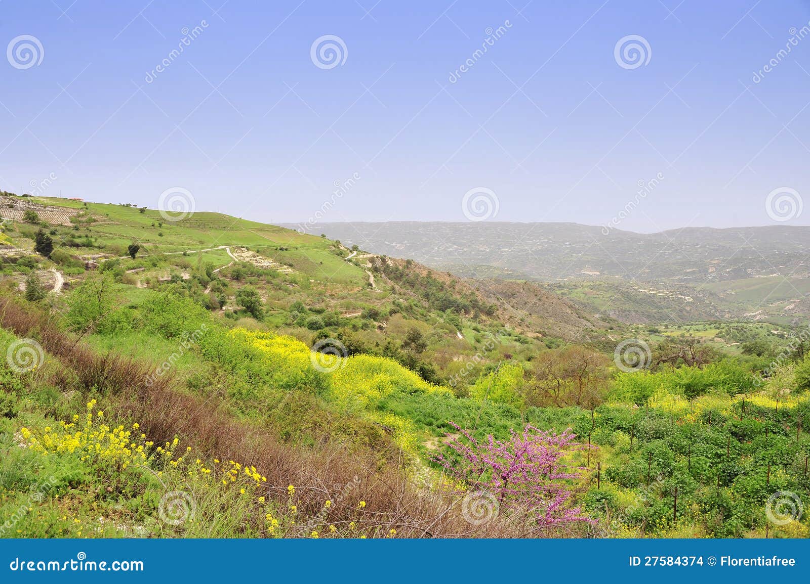 Mountain nature of Cyprus stock photo. Image of land - 27584374