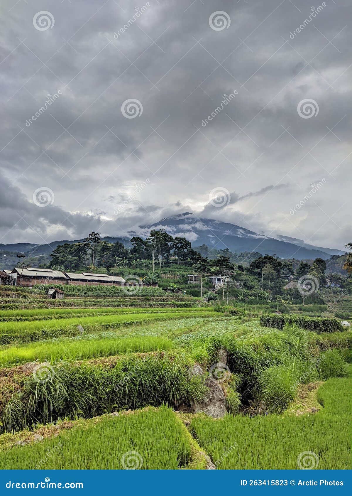 Mountain Nature in Indonesian Stock Image - Image of agriculture ...