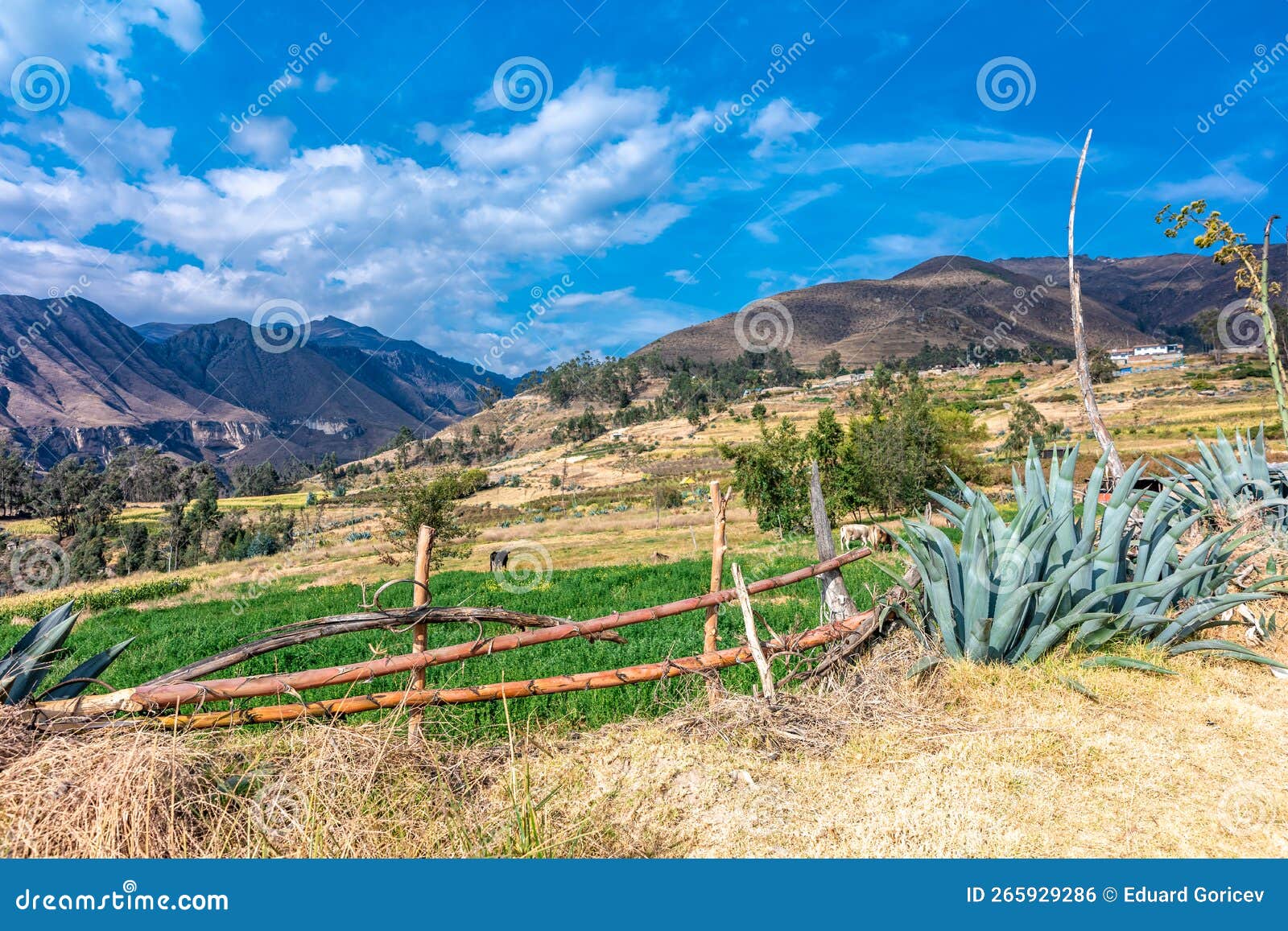 Mountain Nature of South America in Peru Stock Photo - Image of travel ...