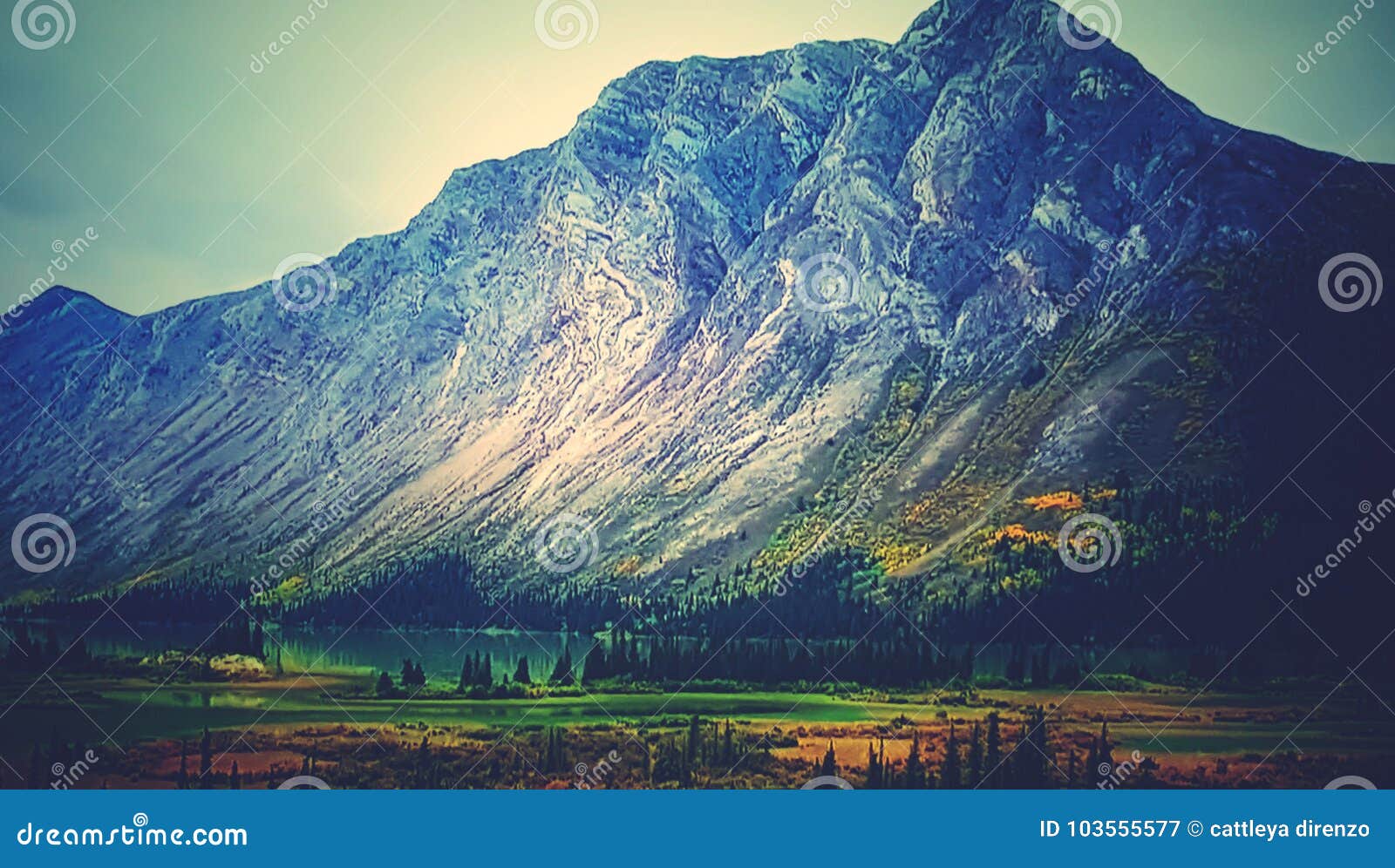 Nature Tree Close-up Mountain Stock Image - Image of mountain, tree ...
