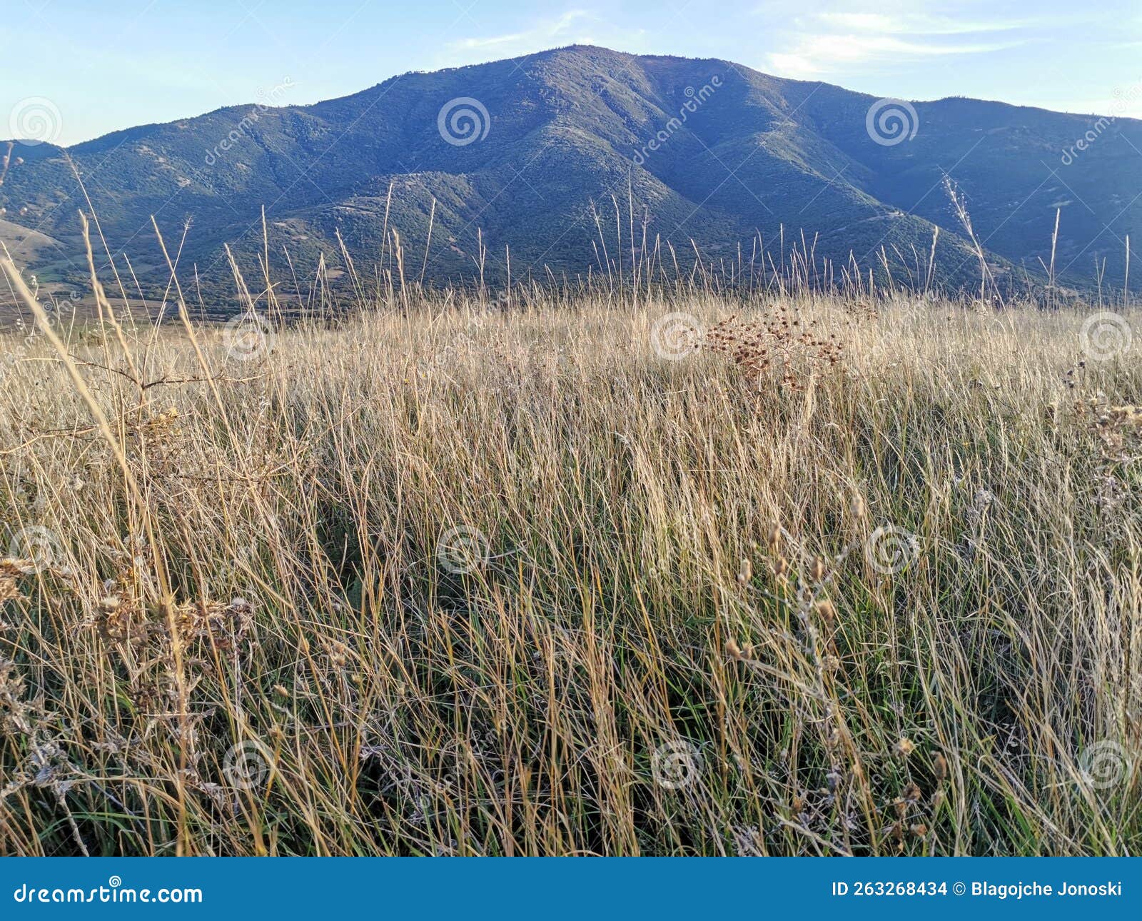 Mountain, Nice, Grass, Distance Stock Photo - Image of ridge, field ...