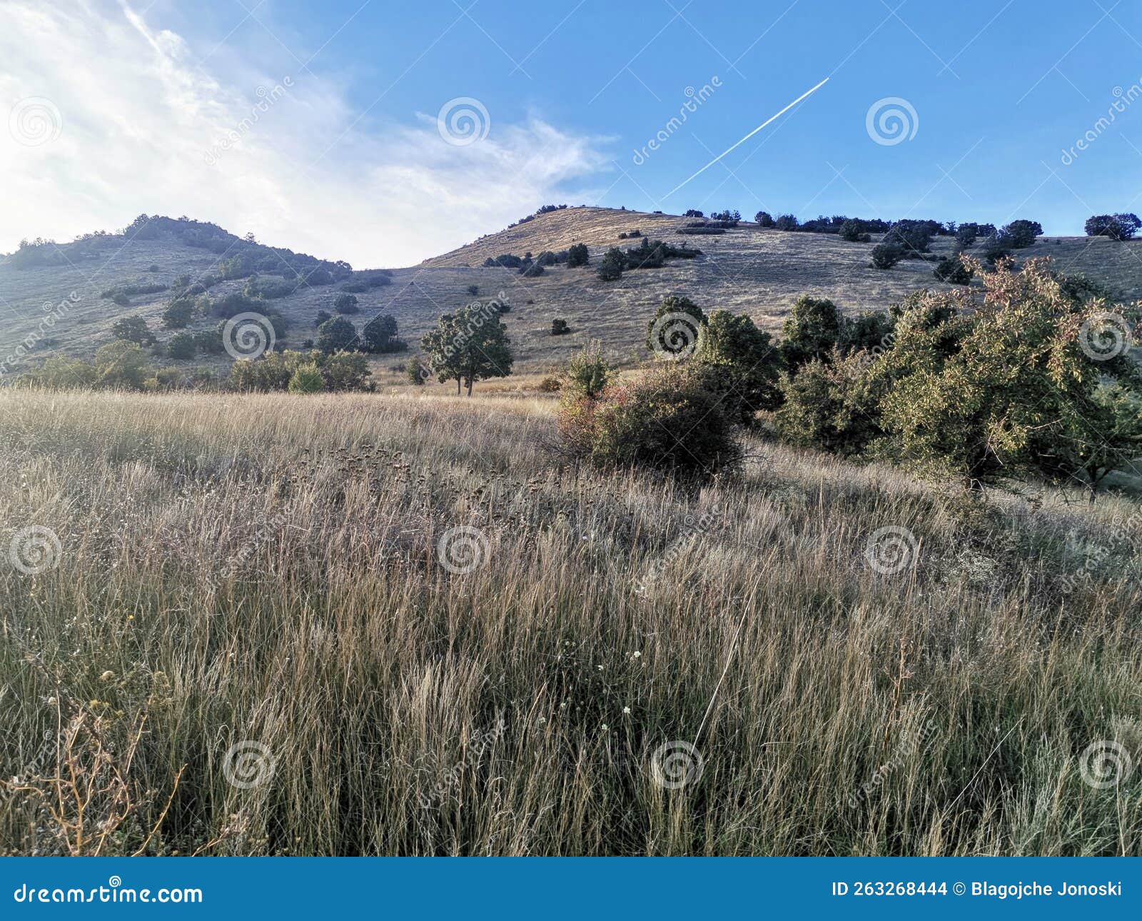 Mountain, Nice, Grass, Distance Stock Photo - Image of grassland ...
