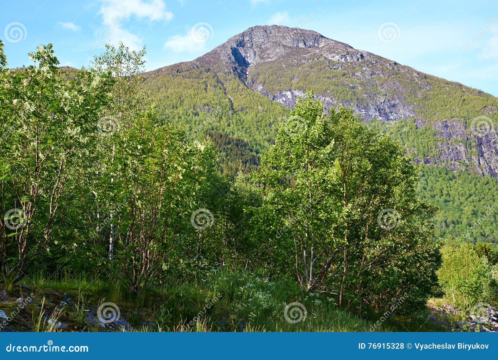 Mountain in norway stock photo. Image of location, nordic - 76915328