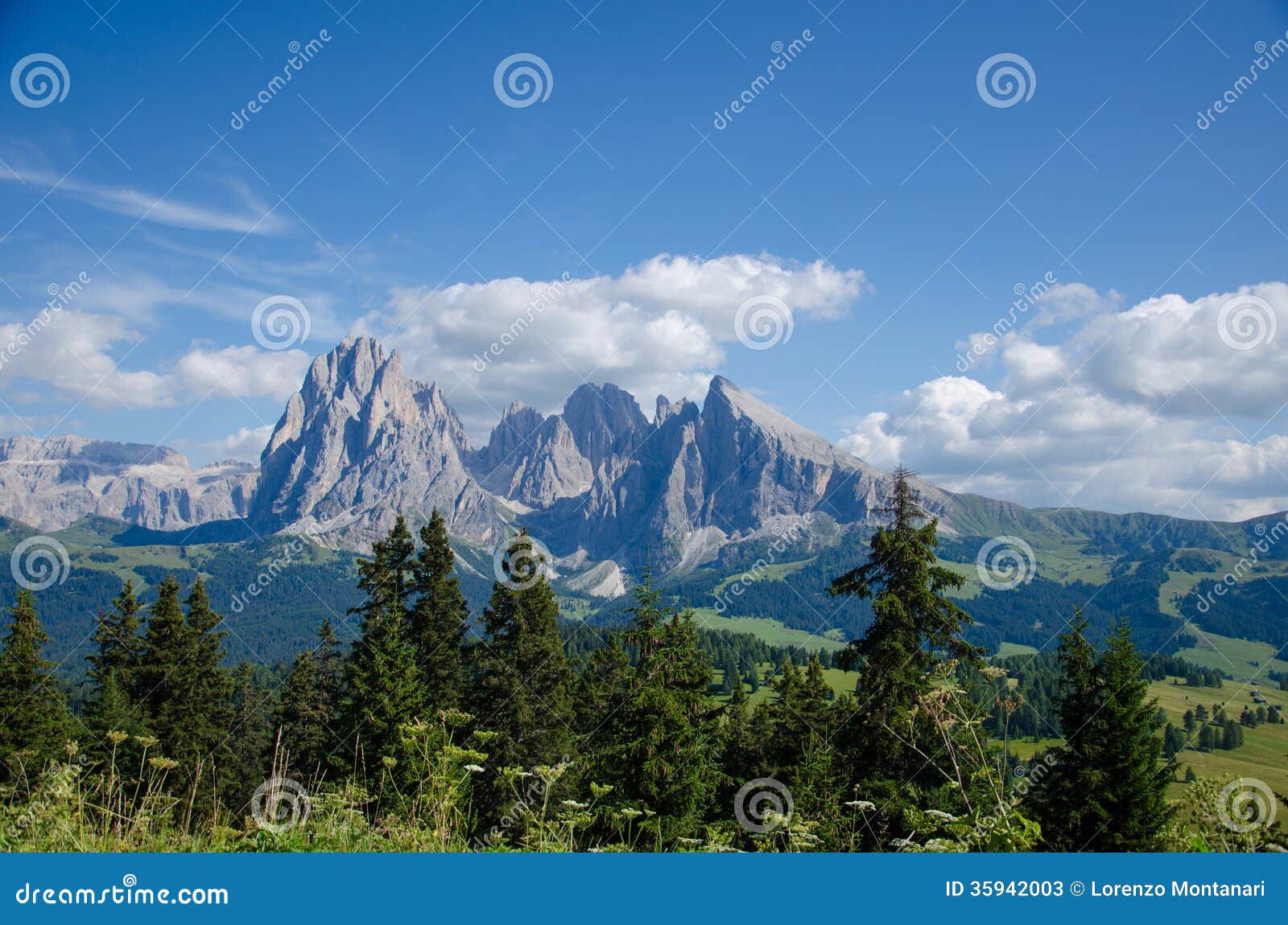 Mountain over the trees stock image. Image of tree, adventure - 35942003