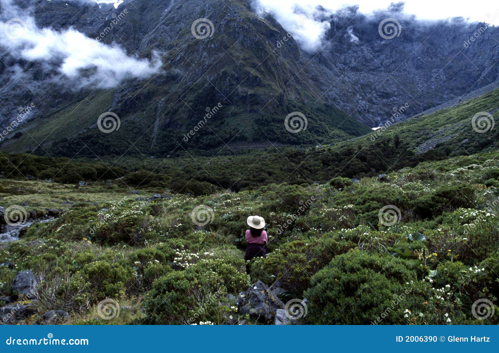 Mountain Overlook stock photo. Image of desolate, picturesque - 2006390