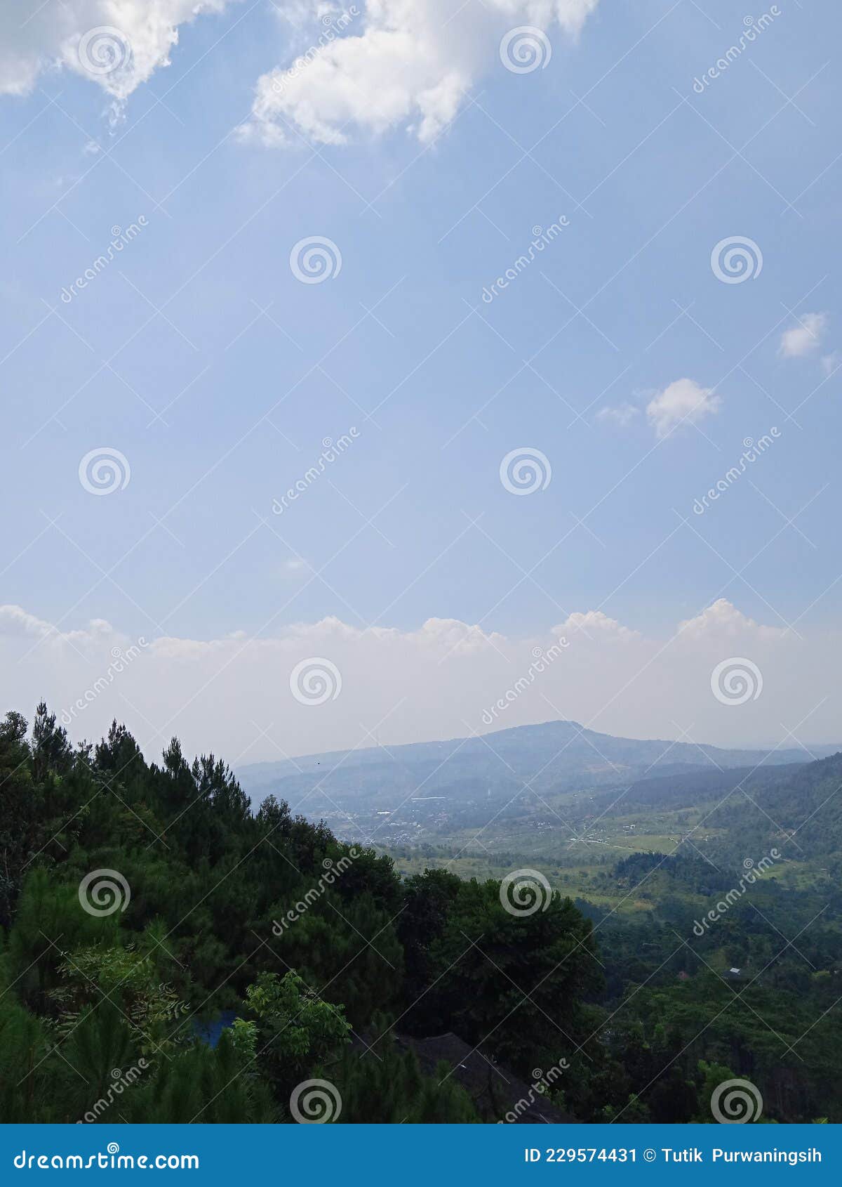 Photo Mountain Pancar, West Java Indonesia Stock Image - Image of ...