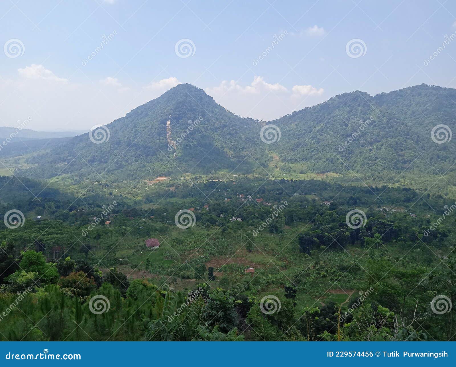 Photo Mountain Pancar, West Java Indonesia Stock Photo - Image of scene ...