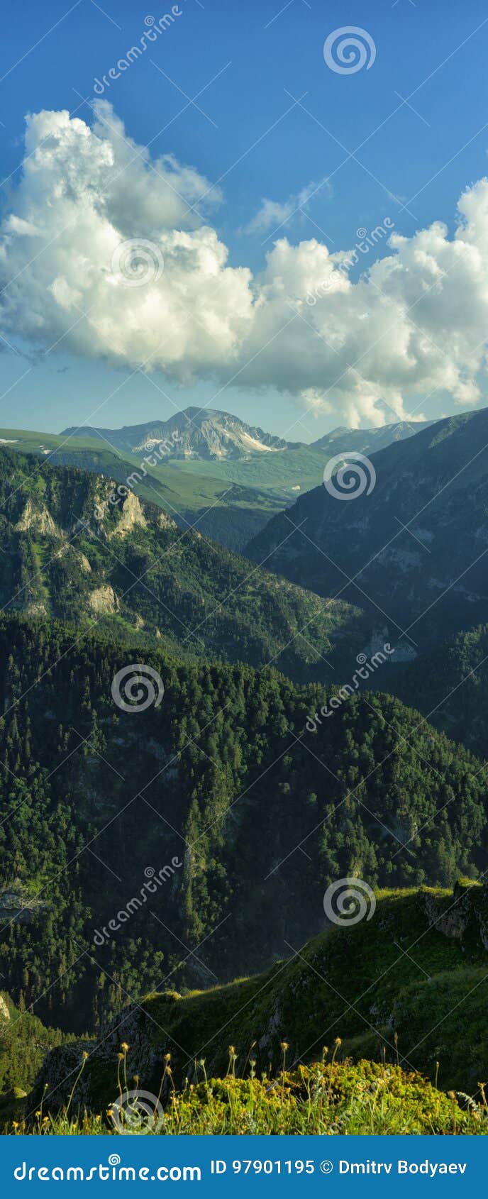 Mountain Panorama of Wooded Mountains Stock Image - Image of black ...