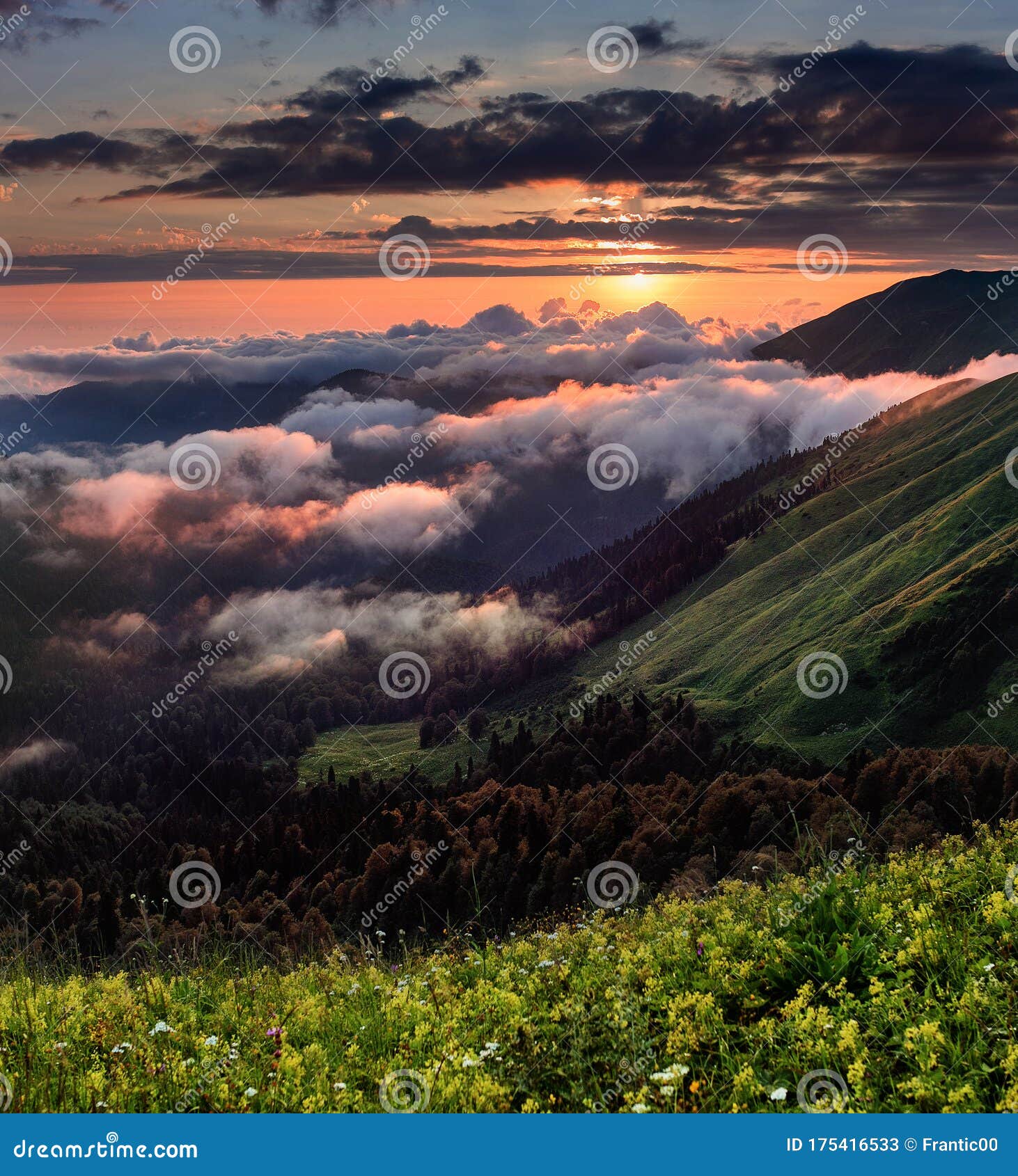 Panoramic Forest Landscape Under Evening Sky with Fog and Clouds at ...