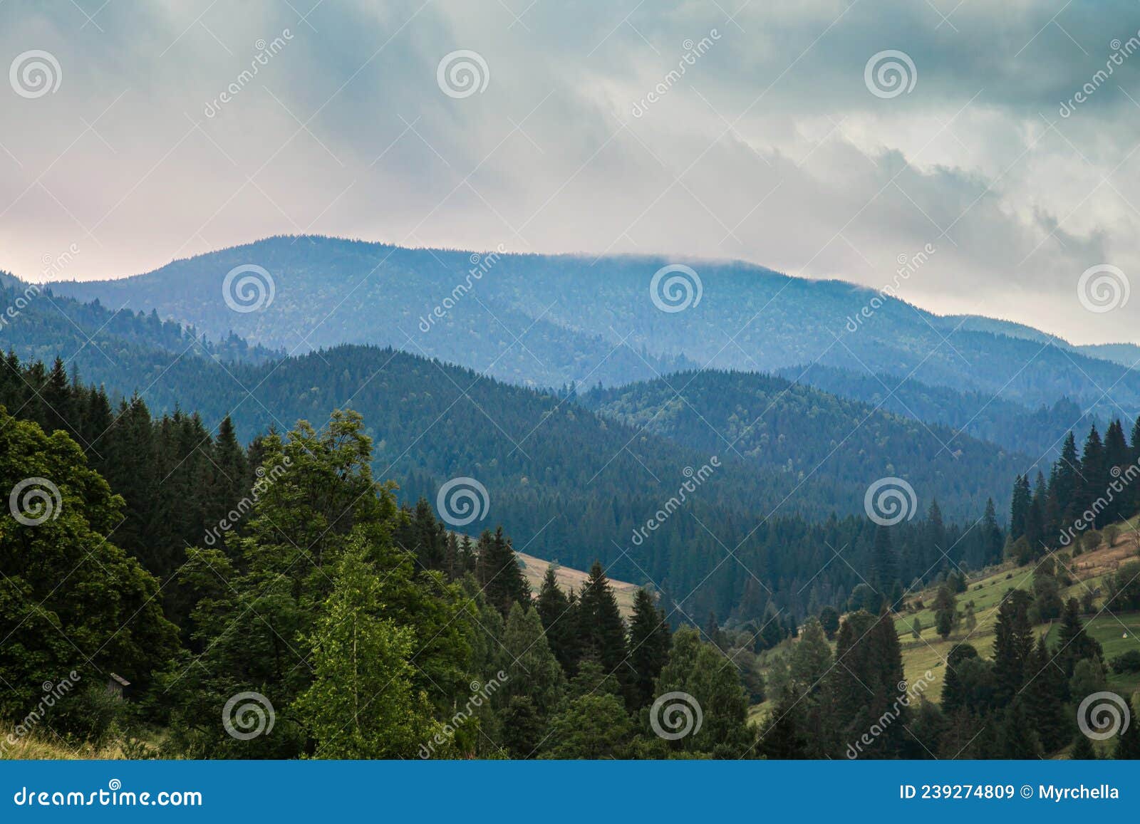 Mountain Panoramic Landscape with Trees on a Summer Overcast Day. Stock ...