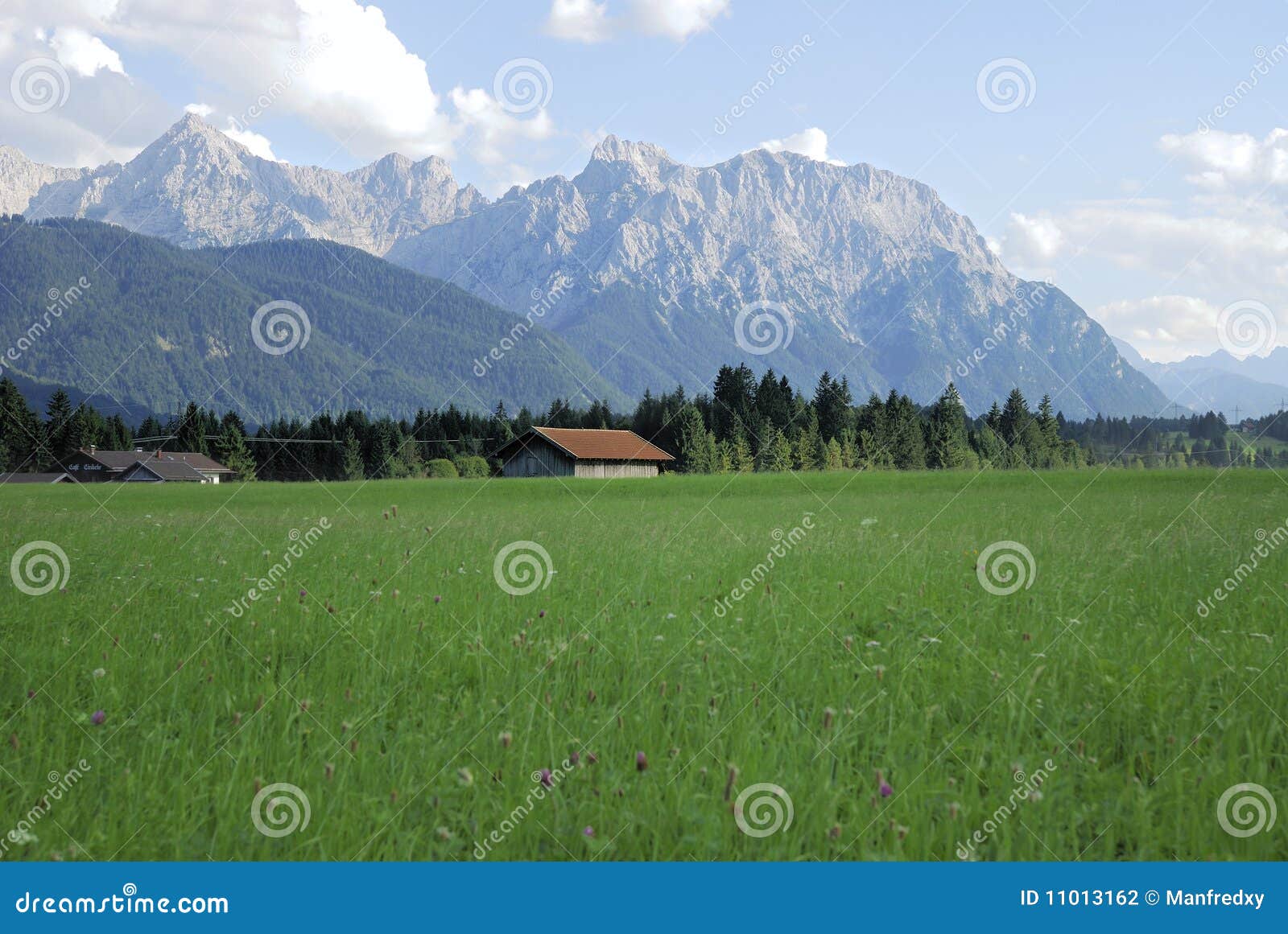 Mountain pasture stock photo. Image of meadow, nature - 11013162