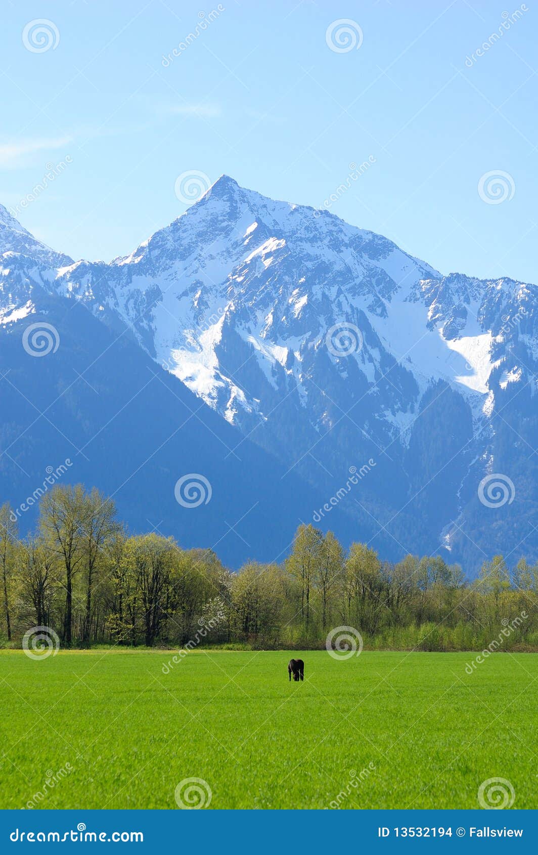 Mountain and pasture stock photo. Image of canadian, hillside - 13532194