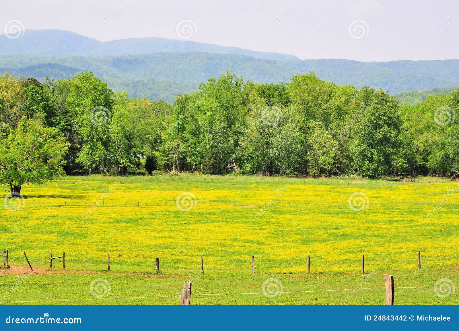 Mountain Pasture Land stock photo. Image of pasture, scenic - 24843442