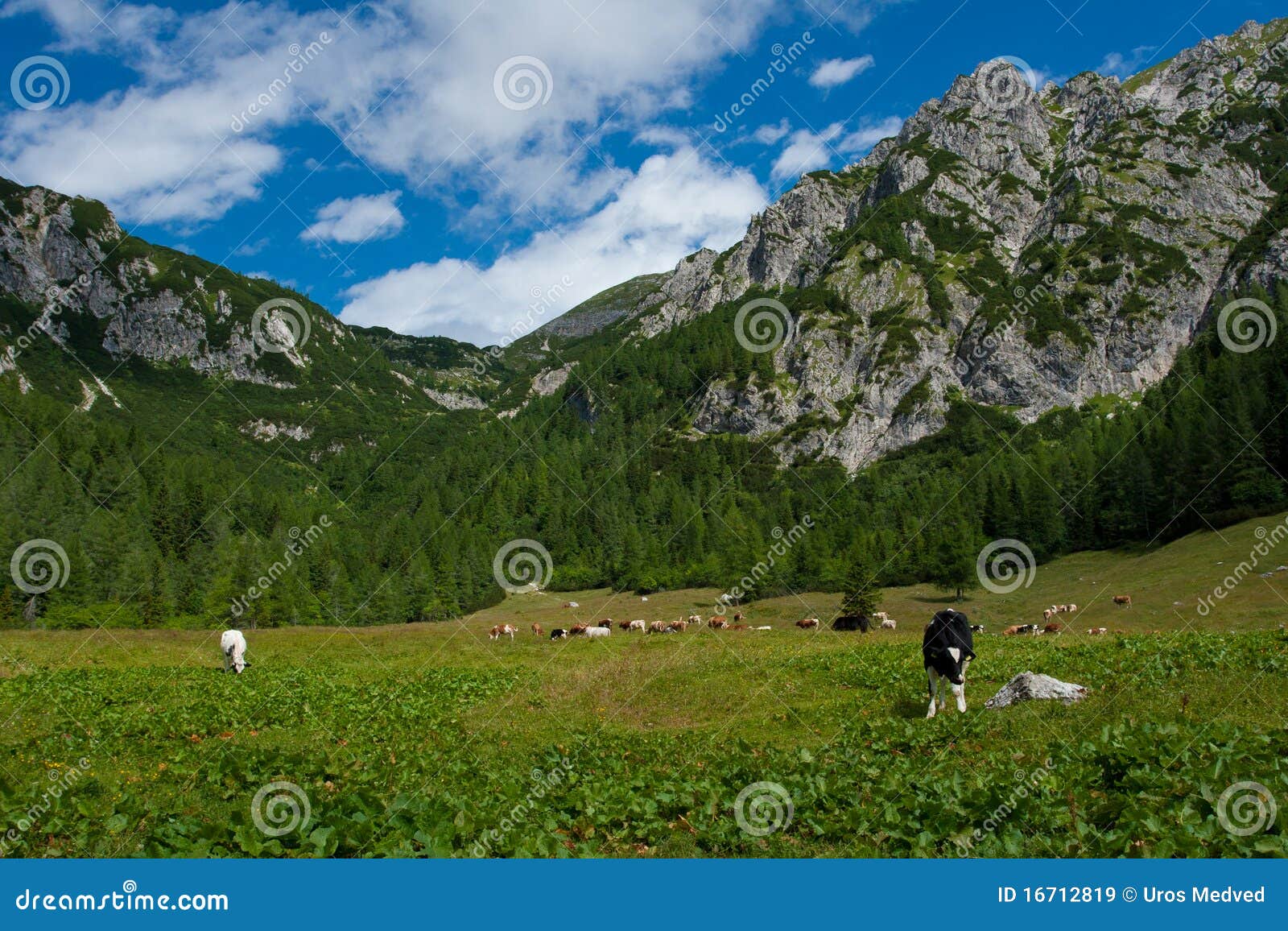 Mountain pastures stock image. Image of angle, cloud - 16712819