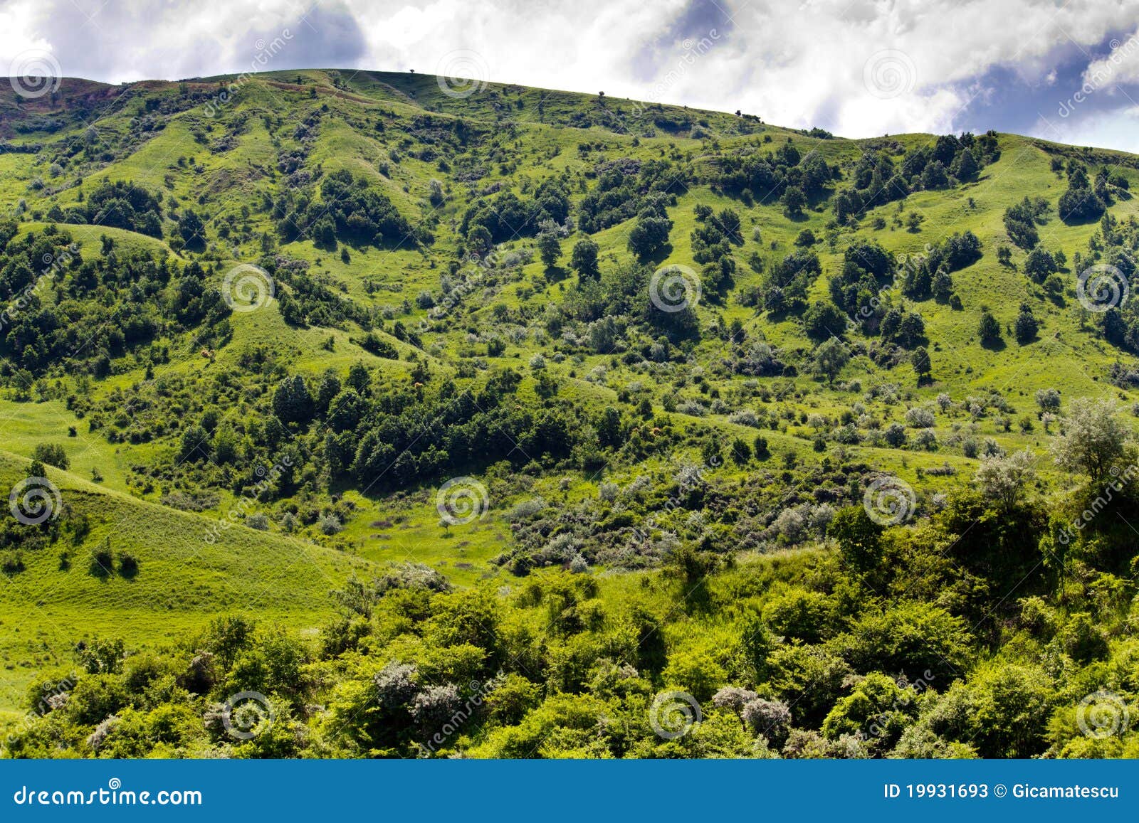 Mountain pastures stock image. Image of fresh, gardens - 19931693