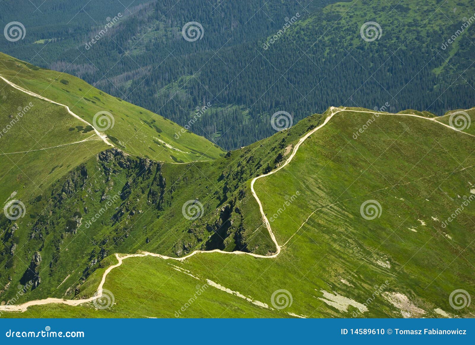 Mountain path stock photo. Image of tall, background - 14589610