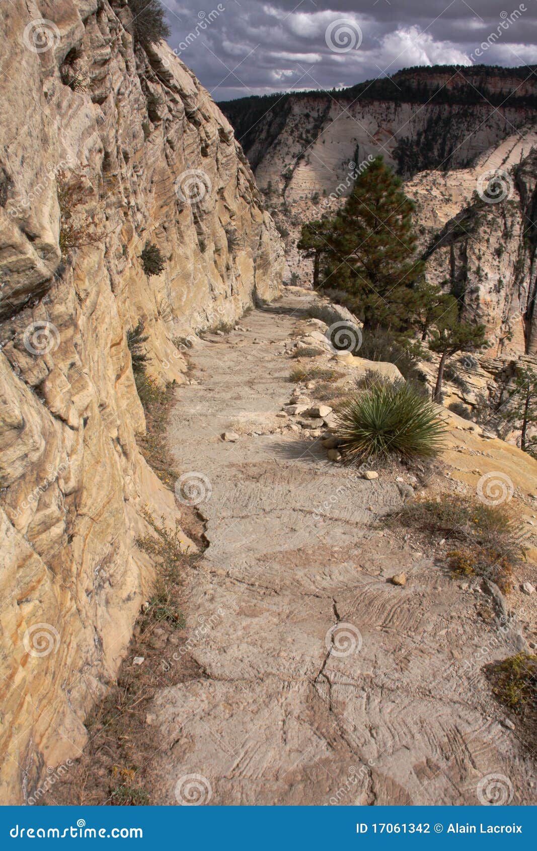 Mountain path stock photo. Image of mountains, heat, nature - 17061342