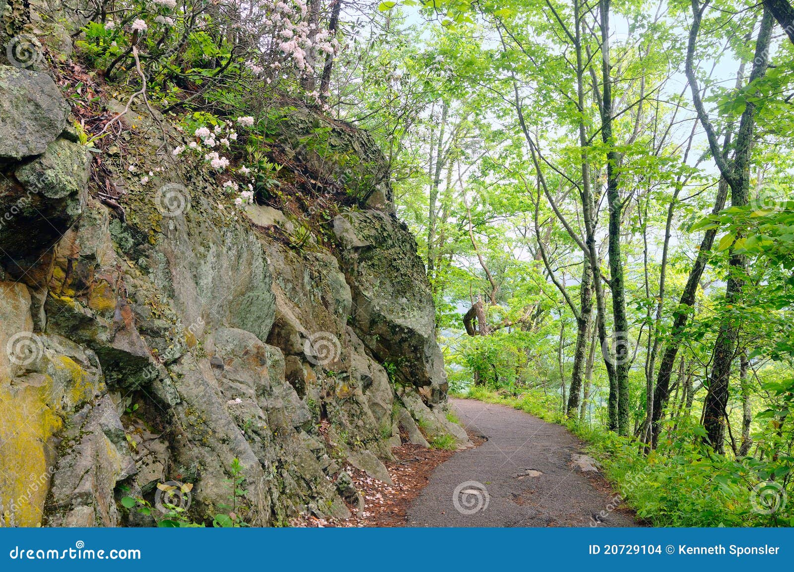 Mountain path stock photo. Image of outdoor, appalachia - 20729104