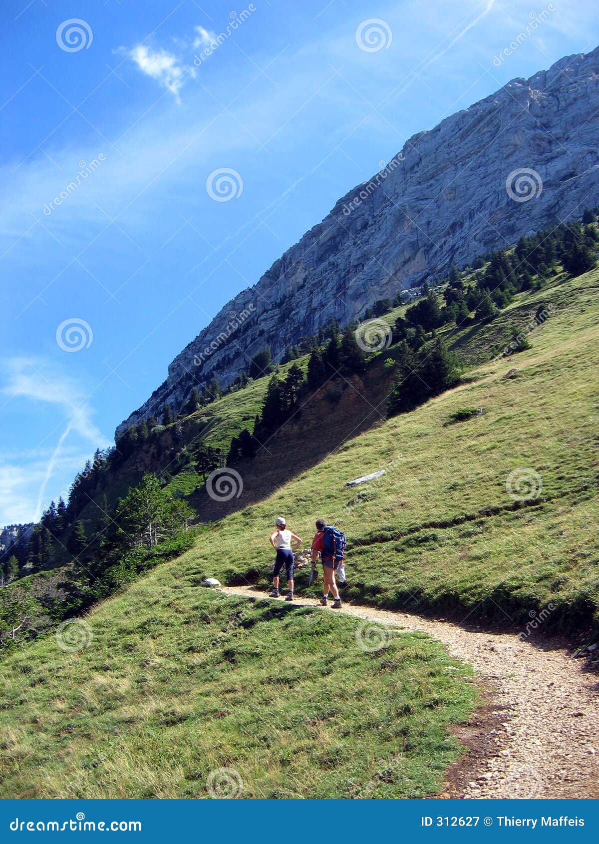 Mountain path stock image. Image of meadow, hiker, landscape - 312627
