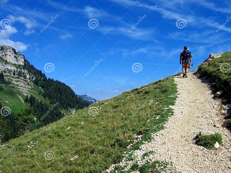 Mountain path stock image. Image of slope, mountain, meadow - 312683