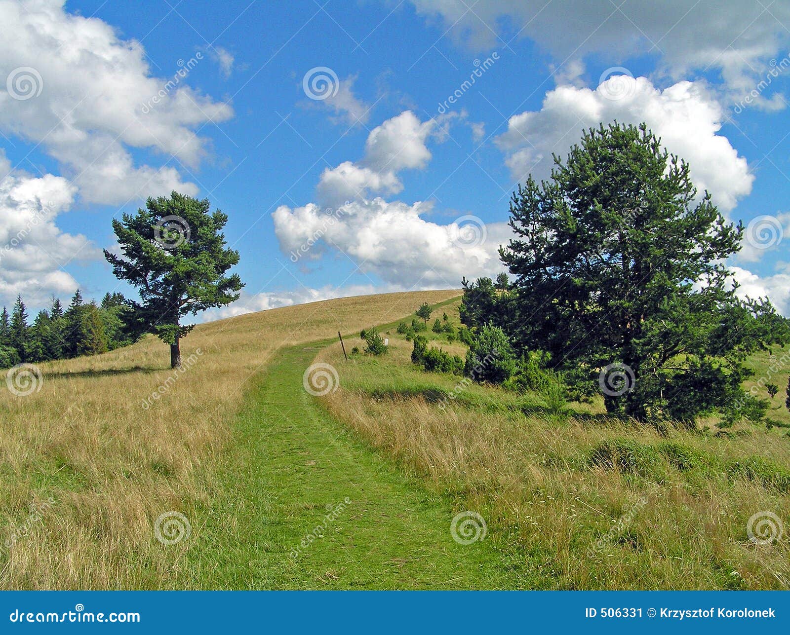 Mountain path stock image. Image of grass, green, view - 506331
