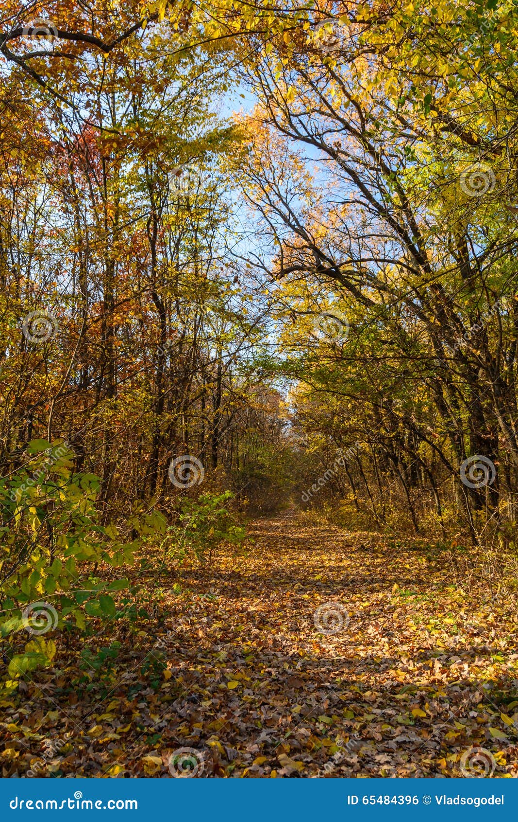 Mountain Path in Autumn Landscape. Vertical View of Mountain Pat Stock ...