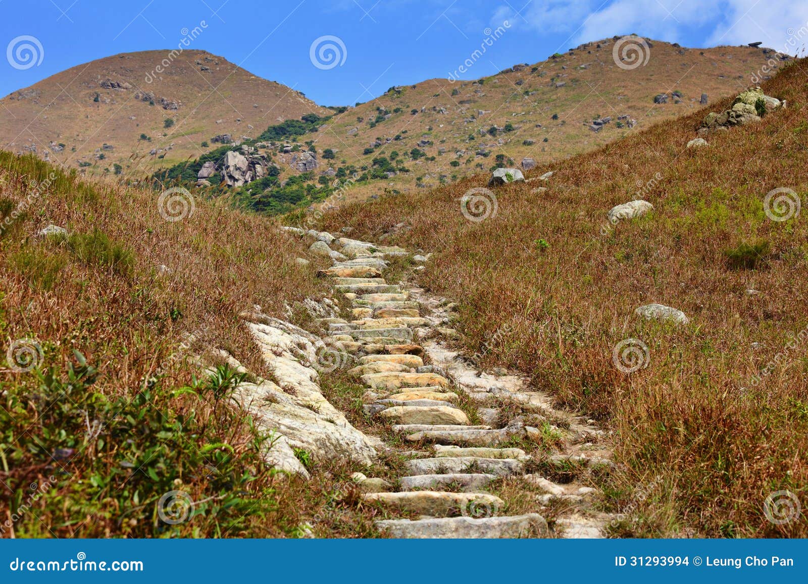 Mountain path stock photo. Image of stone, green, path - 31293994