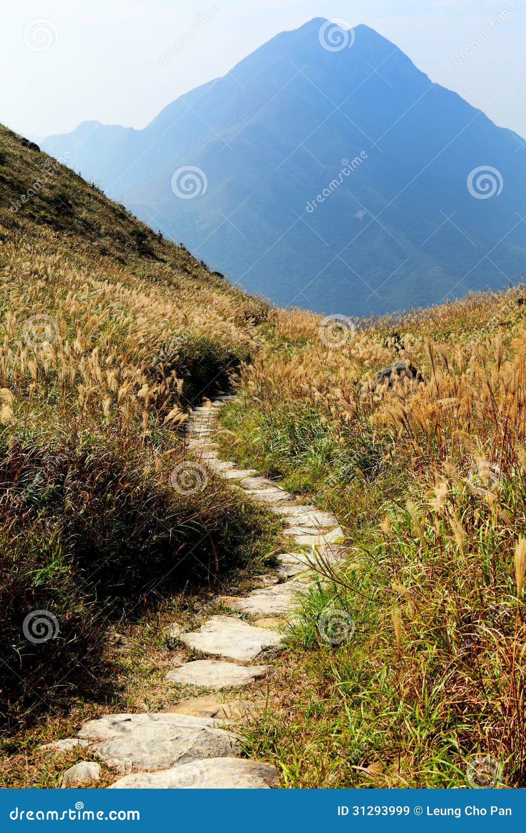 Mountain path stock image. Image of path, road, highland - 31293999