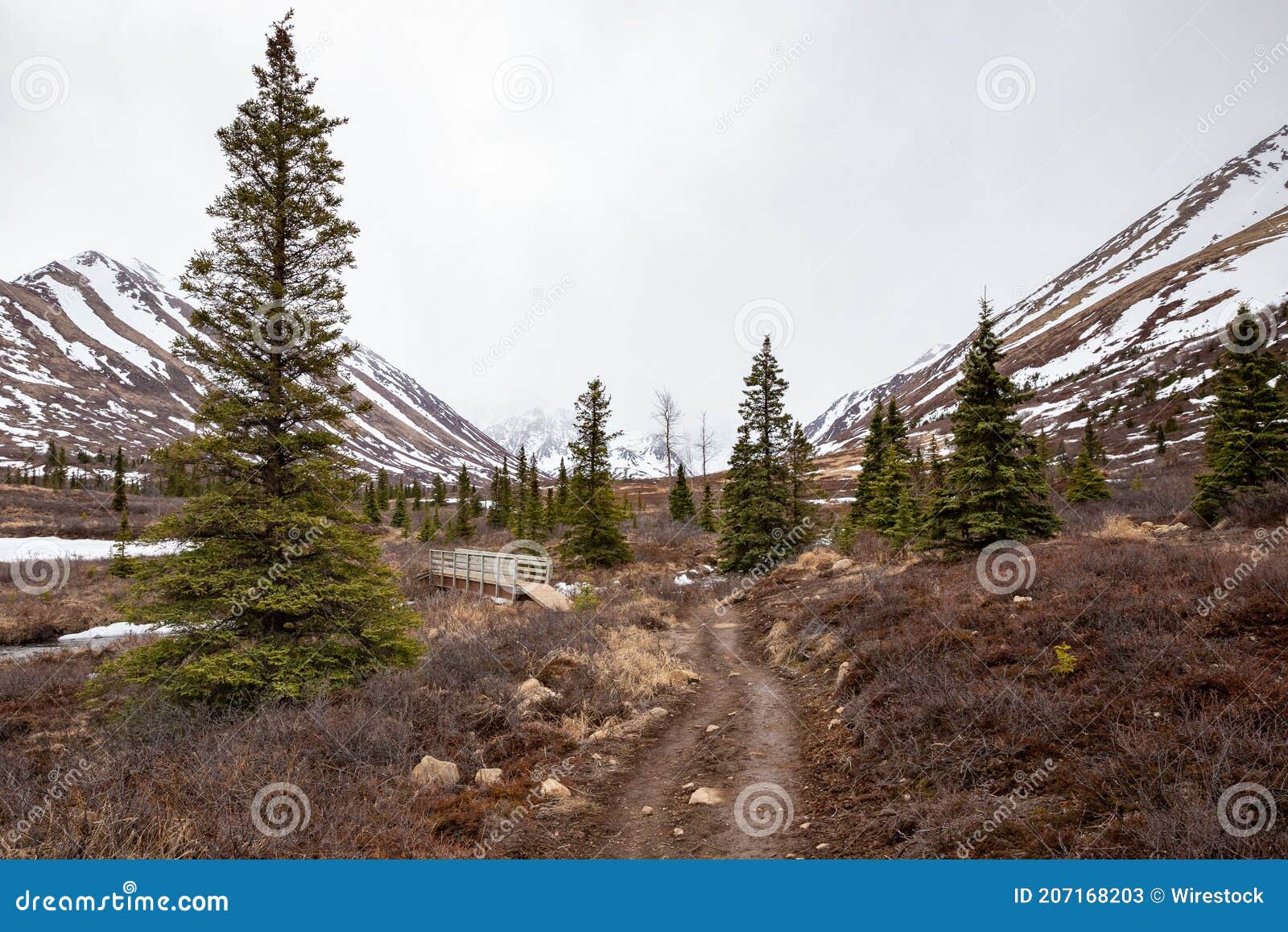 Mountain Path and Bridge in Chugach State Park, Alaska Stock Image ...
