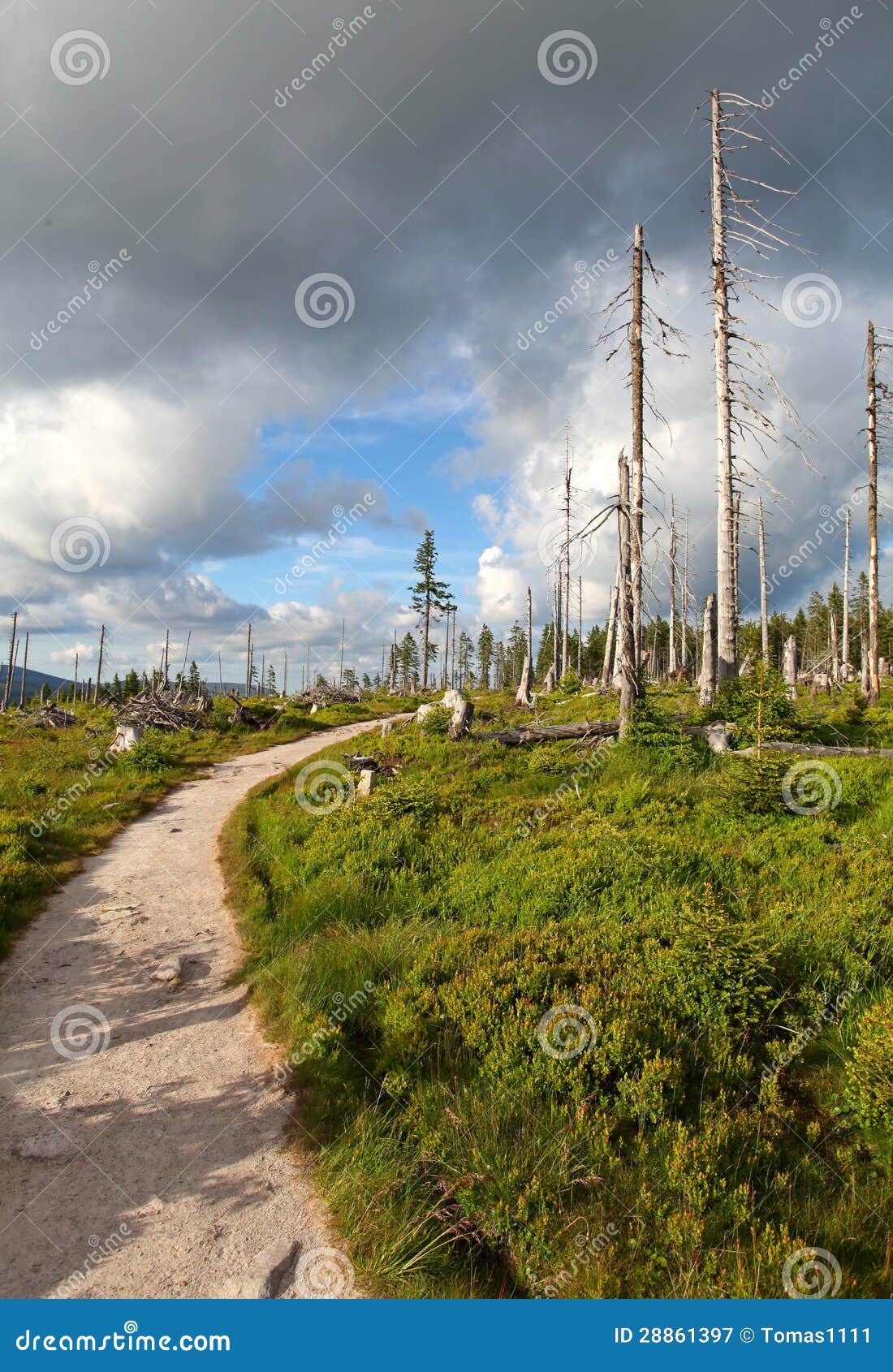 Mountain Path in Krkonose - Czech Republic Stock Image - Image of ...