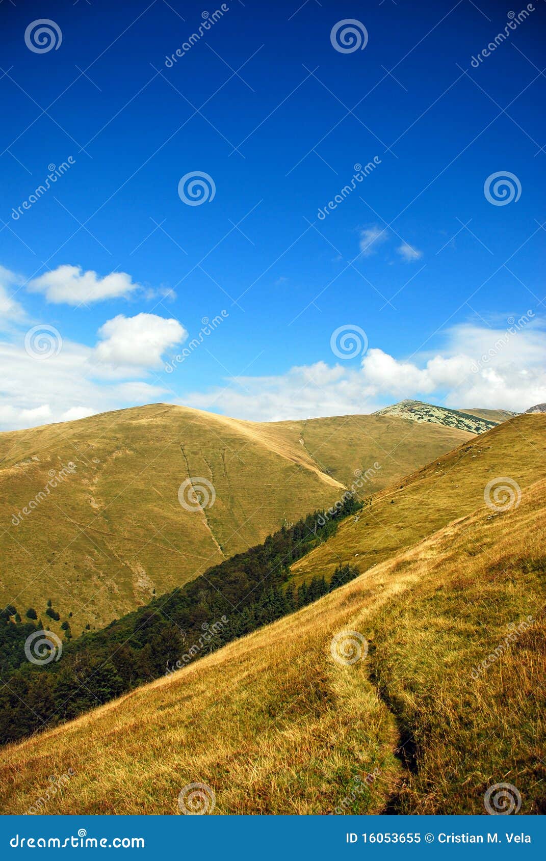Mountain path landscape stock image. Image of tarcu, peak - 16053655