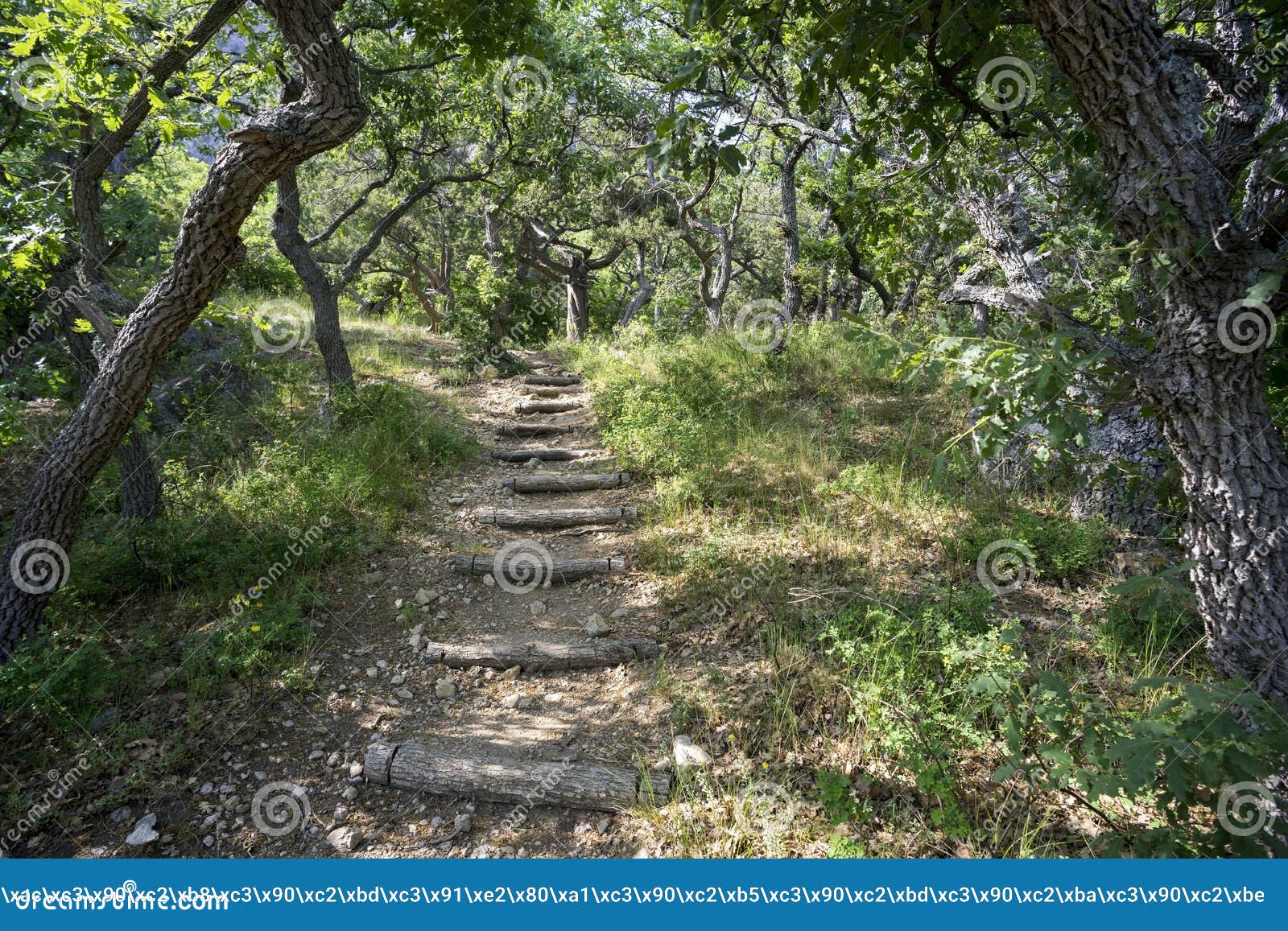 Mountain Path on a Mountain Slope . Stock Photo - Image of walking ...
