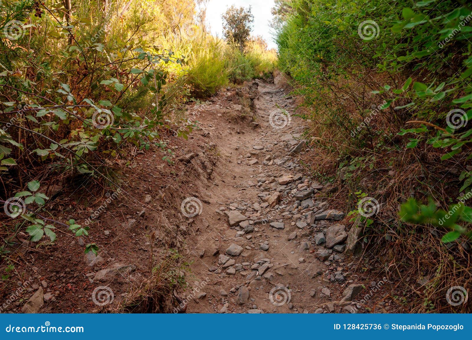 Mountain Path in the Pyrenean Mountains. Spain Stock Photo - Image of ...