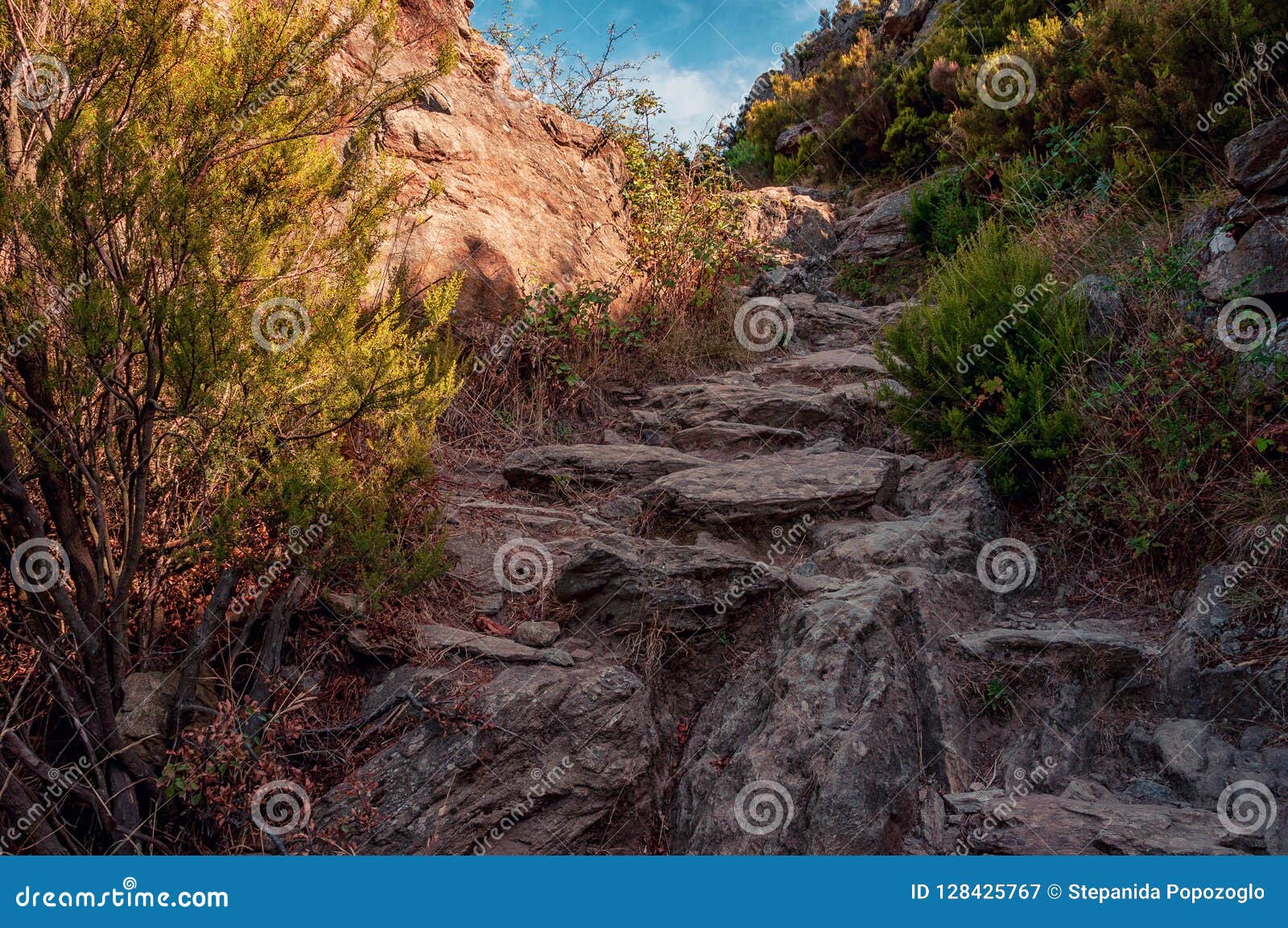 Mountain Path in the Pyrenean Mountains. Spain Stock Image - Image of ...